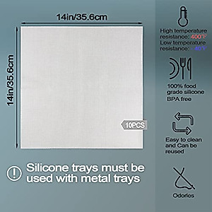 Auroal 10 Pack Silicone Dehydrator Sheets, Apply to dehydrator & Freeze Dryer, Non Stick Dryer Mats, for Meat, Beef, Jerky, Herbs, with High Temperature Resistance Easy to Clean, Square 14x14 in