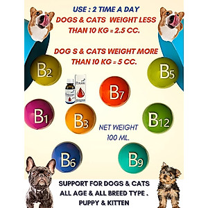 PETTONIC 100 ML. Tonic Pet Booster Liquid Dog Blood Support Iron Supplement for Dogs & Cats Puppies Kitten Food Multi Vitamins Folic B6 B12 Promotes Red Blood Cell, Fast Increasing Energy & Immunity