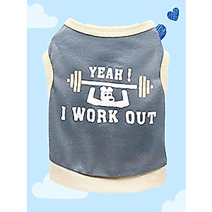 6 Pack Boy Dog Clothes for Boys Small Dog Shirts Puppy T Shirt for Small Dogs Boy Clothes Dogs T-Shirt Chihuahua Yorkie Clothes