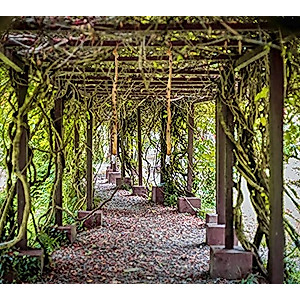 20 PCS Fly Paper Strips Sticky Fly Traps Ribbons, Fly Tape Catcher Bug Gnat Mosquito &Insect Killer for Indoor and Outdoor Use