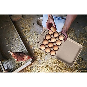 vwpvdeeg 25 Pack Half Dozen Egg Cartons, 3x4 Style Blank Natural Pulp Egg Carton Bulk 12 Count for Chicken Eggs or Duck Eggs, Reusable, Protects, Egg Storage Containers for Home Kitchen and Farmhouse