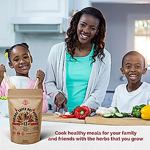 13 Rare Hot Chili Pepper Seeds Variety Pack for Planting Indoor & Outdoors. 650+ Non-GMO Bulk Pepper Garden Seeds Kit: Jalapeno, Cayenne, Serrano, Habanero, Pasilla Bajio, Santa Fe, Fresno & More