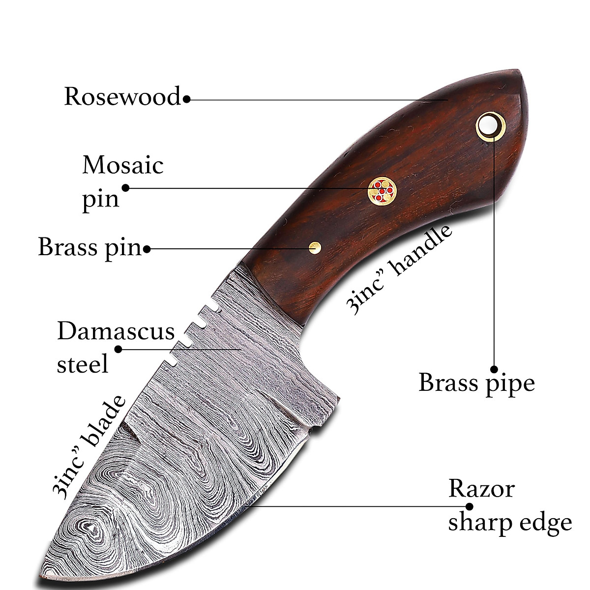 SSSI CRAFT Handmade Fixed Blade High Carbon Steel , Damascus Steel Hunting Knives ,EDC , Mini Neck , Survival and Pocket Knife For Men With Sheath