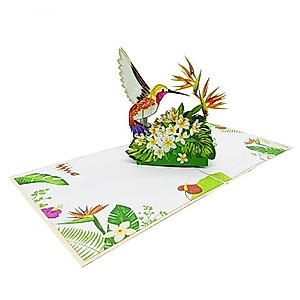 ETA 3D Floral Hummingbird Pop Up Card, Birthday Card, Thank You Card, Mother's Day Card, Nature Card, Congratulate with 3D Bird, Laser Cut, Handmade in Vietnam, 5.9 in x 5.9 in