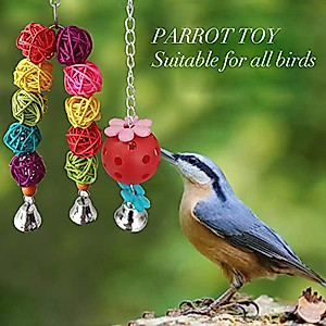 13pcs Bird Parakeet Toys, Swing Chewing Toy, Hanging Bell Pet Swing Bird Cage Hammock Climbing Ladders Toy Wooden Perch Toys for Small Parrots, Conure, Cockatiels