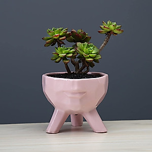 YONGYAN Face Shape Flower Pot Statue Decoration Ceramics Garden Head Planters Containers Pot Bookshelf Office Desktop Decor (Pink)