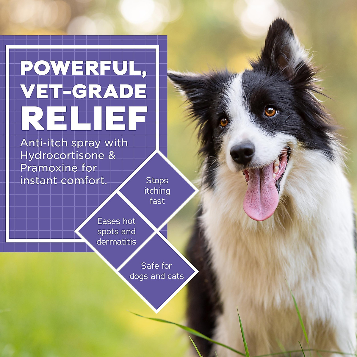 VetWELL Hydrocortisone Spray for Dogs & Cats - Itchy Skin Relief from Hot Spots, Bites, Scrapes, Irritated Skin, & Dermatitis - 4 oz Anti Itch Spray with Pramoxine