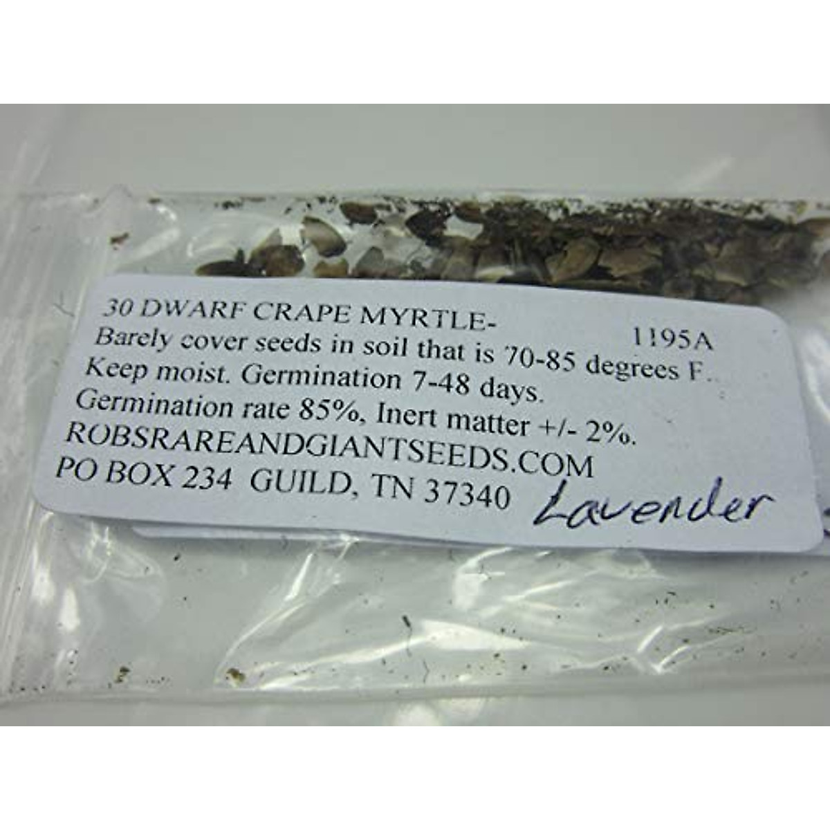 1195A-Dwarf Lavender Crape Myrtle (Lagerstroemia Indica) Seeds by Robsrareandgiantseeds UPC0764425788454 Non-GMO,Organic,USA Grower,Bonsai,Showy, Butterfly Flower,1195-A Package of 10 Seeds