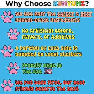 Numyumz Natural 15-in-One Complete Daily Multivitamin Dog Chew Supplement - Joint Health, Omega-3 Fatty Acids, Vitamins, Immune Support - Tasty Treats for Healthy Coat, Skin, Bones - 90 Soft Chews