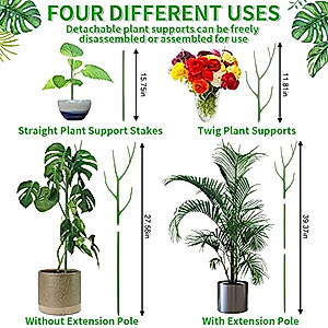 ROADPLUM 4 Pack 39.37" Detachable Twig Plant Support Stakes Set, Blends in to Plant, Branch Plant Sticks with Orchid Clips Twist Plant Ties, Twig Trellis for Indoor Outdoor Plants Potted Plants Flower