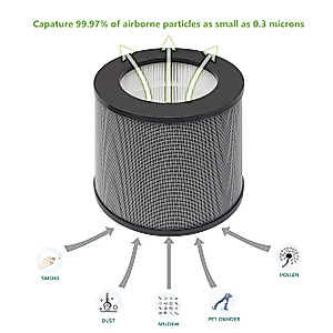 Nyemo TT-AP006 HEPA Replacement Filter Compatible with Black TT-AP006 Air Purifier, 3-in-1 H13 True HEPA with Activated Carbon Pre-Filter, 2 Pack