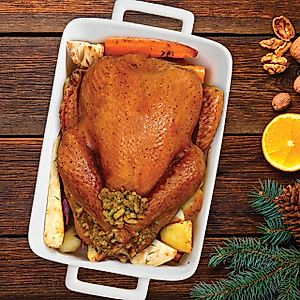 HIC Kitchen Rectangular Lasagna Pan with Handles, Fine White Porcelain, 13 x 9 x 2.5-Inches