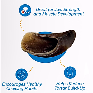 123 Treats | Cow Hooves for Dogs (50 Count) 100% Natural Long-Lasting Dental Dog Chews Made from Beef Hoof | from Free Range, Grass Fed Cattle with NO additives, Coloring or Chemicals