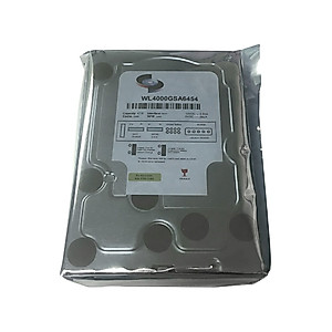WL 4TB 64MB Cache 5400RPM SATA III (6.0Gb/s) 3.5" Internal Surveillance DVR Hard Drive - w/ 1 Year Warranty