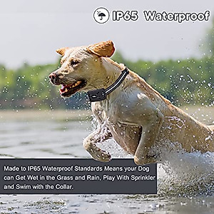 AICSDCO Wireless Dog Fence System,2023 Electric Fence & Training Collar for Dogs, 2 in 1 Pet Containment Fence and Safety Latch Dog Collar for Small,Medium,Large Dog for The Yard