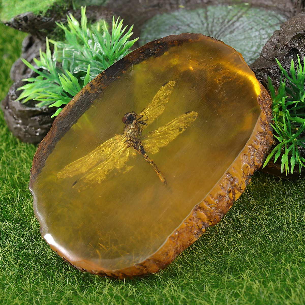 Amber,Artificial Amber Specimen Pendant Butterfly Scorpions Insects Amber Stone Ornament for Collection(Dragonfly)