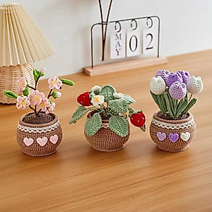UEIEU Crochet Kit for Beginners - Flower Plants - Crochet Starter Kit，Suitable for Adults Learning Adult Beginner Crochet kit, Step by Step Video Tutorials (Strawberry Flower Potted Plants)
