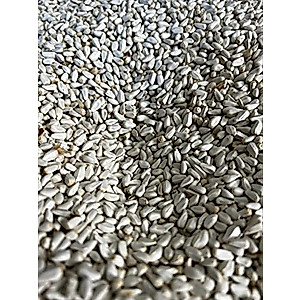 French Camp Grain - Safflower Seed Wild Bird Food - Bird Seeds for Outside Wild Birds - Wild Bird Seed - Bird Seeds for Outside Wild Birds 50 LB Bag