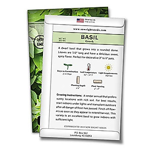 Sow Right Seeds - Greek Basil Seed for Planting - Non-GMO Heirloom Seeds - Instructions to Plant and Grow a Kitchen Herb Garden, Indoors or Outdoor; Great Gardening Gift (1)