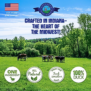 Shepherd Boy Farms Freeze Dried Dog Treats, Duck Heart, All Natural Freeze-Dried Dog Treat & Dog Snacks, Made in USA, High in Protein, Essential Nutrition of Raw Dog Food, 8oz