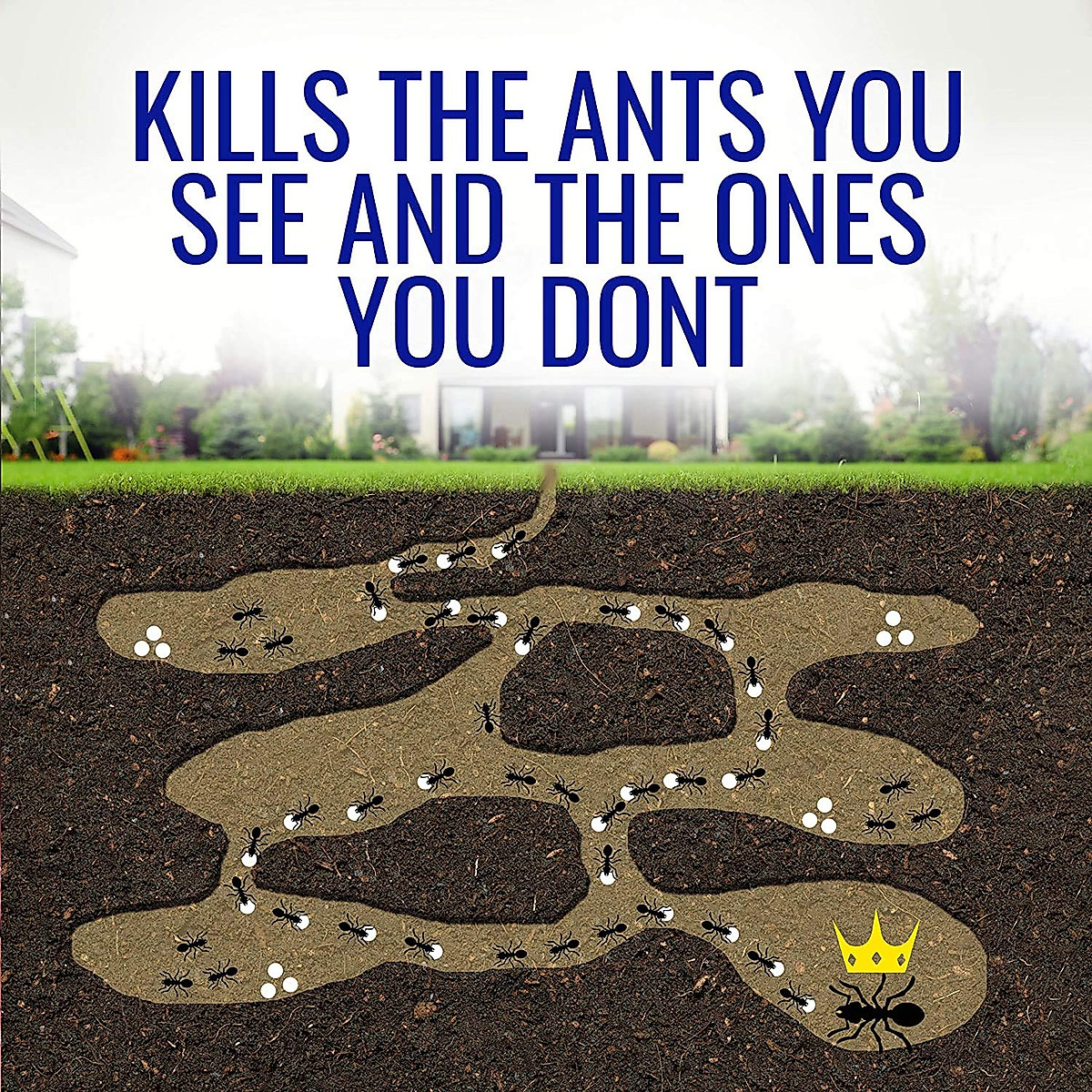 Terro Liquid Ant Bait Boxed 8 / Pack