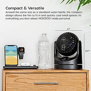 IRIS USA WOOZOO Fan, Small Oscillating Desk Fan, Table Air Circulator, 3 Speeds, 32ft Max Air Distance, Mini Fan 8 Inches, 112° Adjustable Tilt, 27.5 db Low Noise, Pink