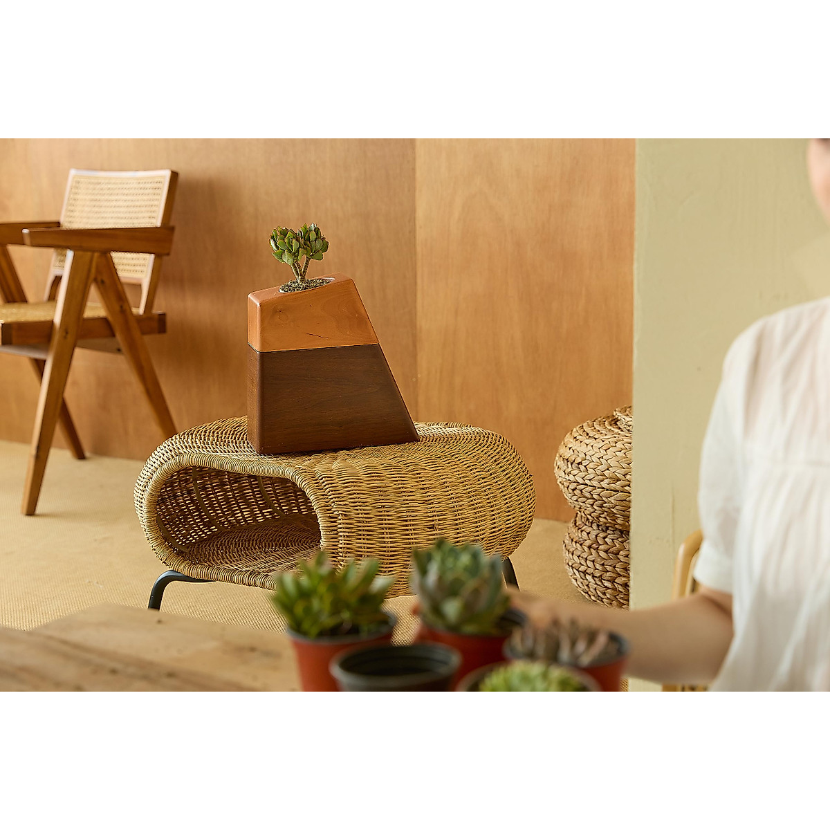 AspenStudio Plant Urn with Ceramic Pot with Magnetic Joint Solid Wooden Urn for Adult Human Ash Cremation Funeral Handcrafted Wood Urn Decorative Urn Large Urn Interior