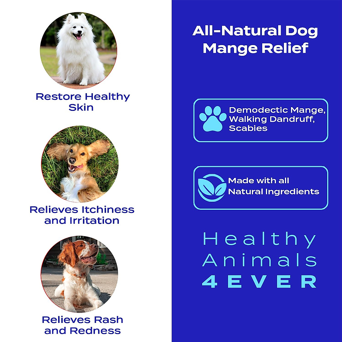 HealthyAnimals4Ever Mange Relief for Dogs - Treatment for Itchiness, Scabs, & Hair Loss Caused by Mites - All-Natural, Homeopathic, Non-GMO, Organic - Gluten, Preservative & Chemical Free - 300 ct