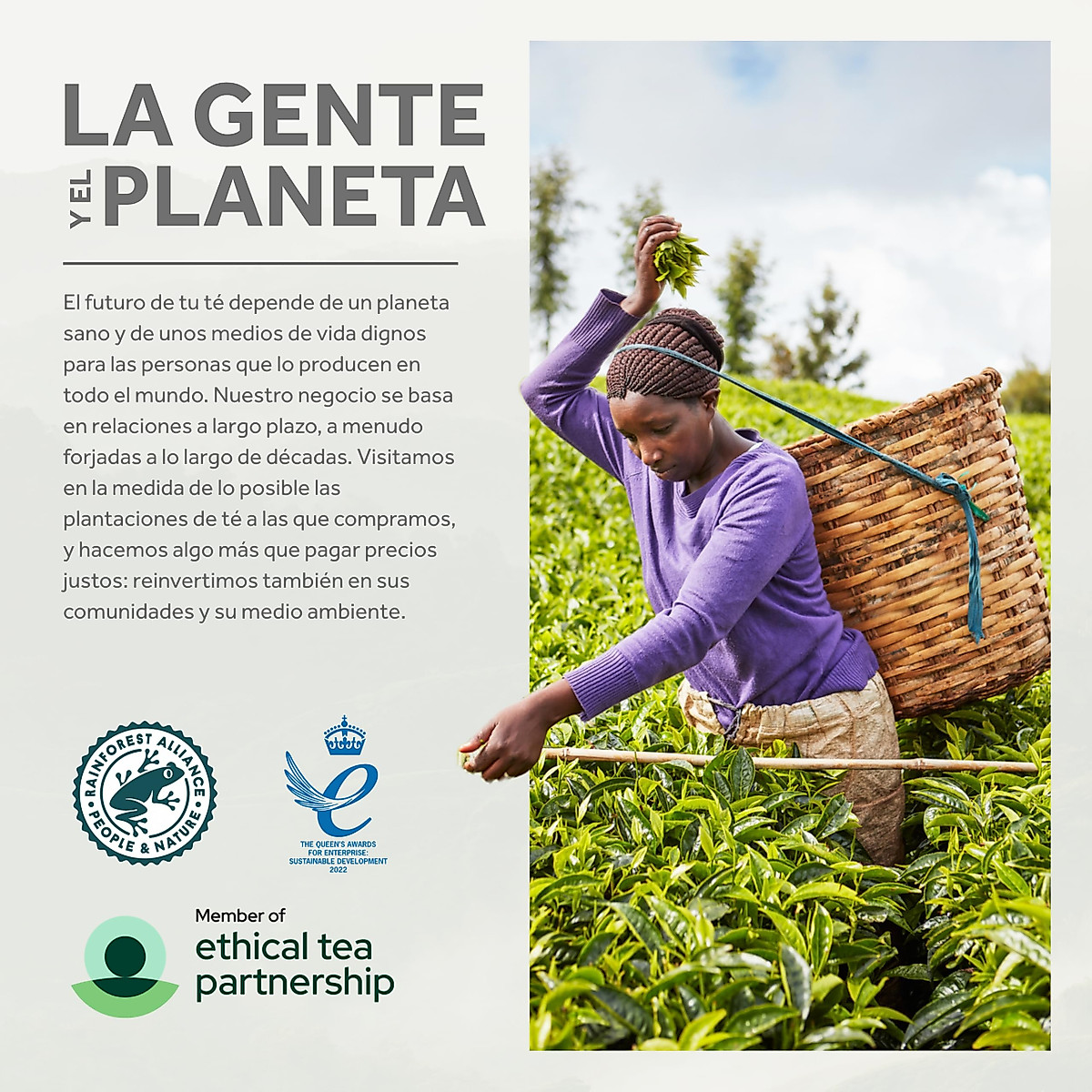 Taylors of Harrogate Yorkshire Gold, 160 Teabags