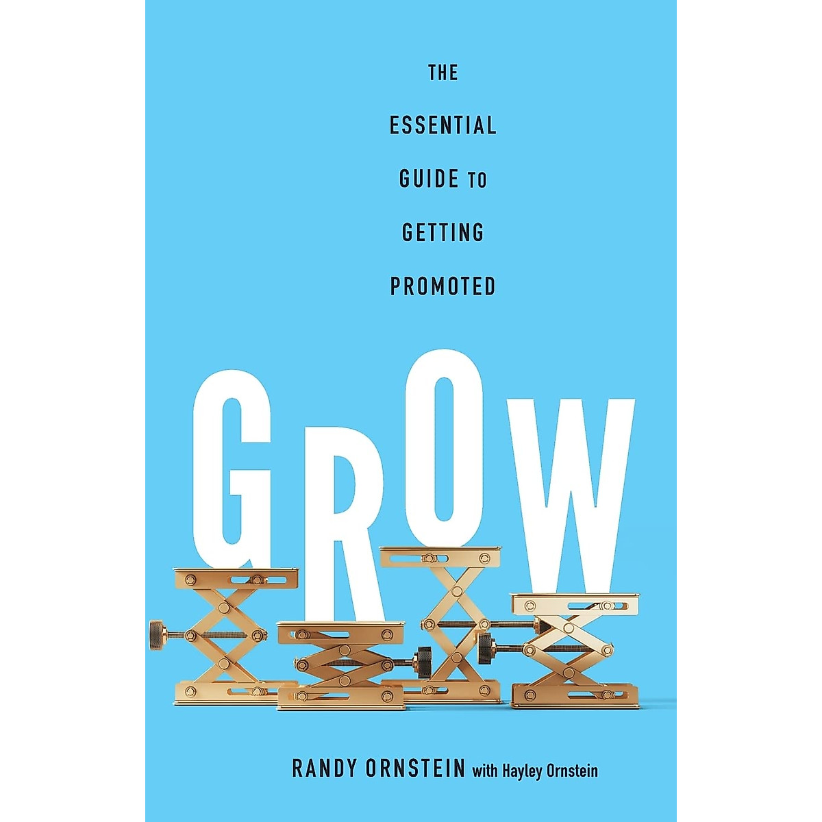 Grow: The Essential Guide to Getting Promoted