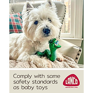 Smiley Snake Sensory Squeaky Rubber Dog Toy for Small & Medium Dogs (Green) Natural Rubber (Latex) Lead Chemical-Free Soft Unstuffed