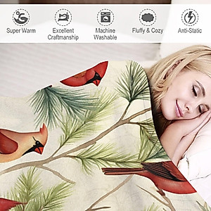 Blanket Red Birds Pine Cones Berry Winter Holiday Soft Blankets and Throws for Sofa Cardinal Bird Pattern Luxurious Warm and Cozy for Home Bed Couch for Girls Birthday Valentines Gifts 40"x50"