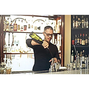 Trovety Liquor Bottle Dispenser Spouts – Classic Speed Pours for Alcohol, Olive Oil and Shave Ice Syrup – Rustproof Stainless Steel with Tapered Pouring Funnels and Dust Caps (2)