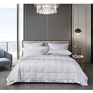 Beautyrest Tencel/Cotton Blend White Down Fiber Comforter- Medium Weight for All Season