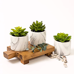 Kurrajong Farmhouse Artificial Succulent Plants in pots | Mini Fake Plant for Shelves | Artificial Plants for Home Decor Indoor | Succulent Plants Artificial | Mini Plant Decor | Small Faux Plants