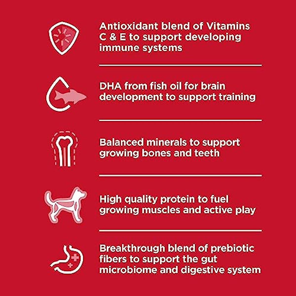 Hill's Science Diet Puppy, Puppy, Small & Mini Breeds Puppy Premium Nutrition, Dry Dog Food, Chicken & Barley, 12.5 lb Bag