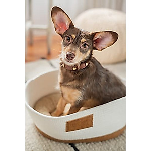 Harry Barker Woven Rope Basket Bed