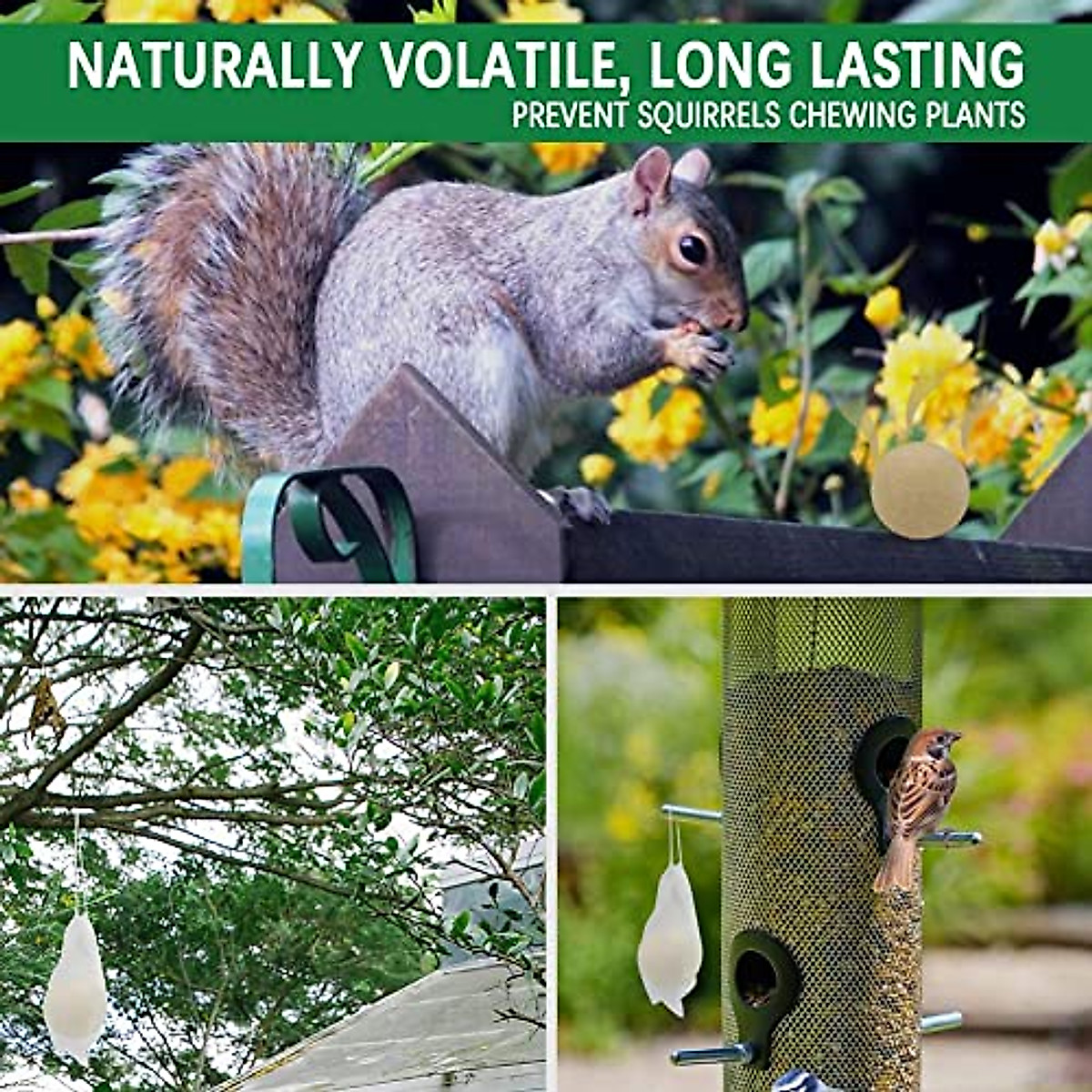SUAVEC Squirrel Repellent Outdoor, Chipmunk Repellent Outdoor, Squirrel Deterrent Mint, Squirrels Repellent for Garden, Outdoor Repellent Squirrels for Attic, Keep Squirrel Away for Plants -8 Pack