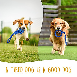 CANINE CANYON Dog Chew Toys 2 Pack, Dog Toys for Teeth Cleaning, Teething Rubber Ring & Ball with Cotton Rope Dog Toys to Keep Them Busy with Tug of War, Fetching, for Puppies, Small & Medium Dogs