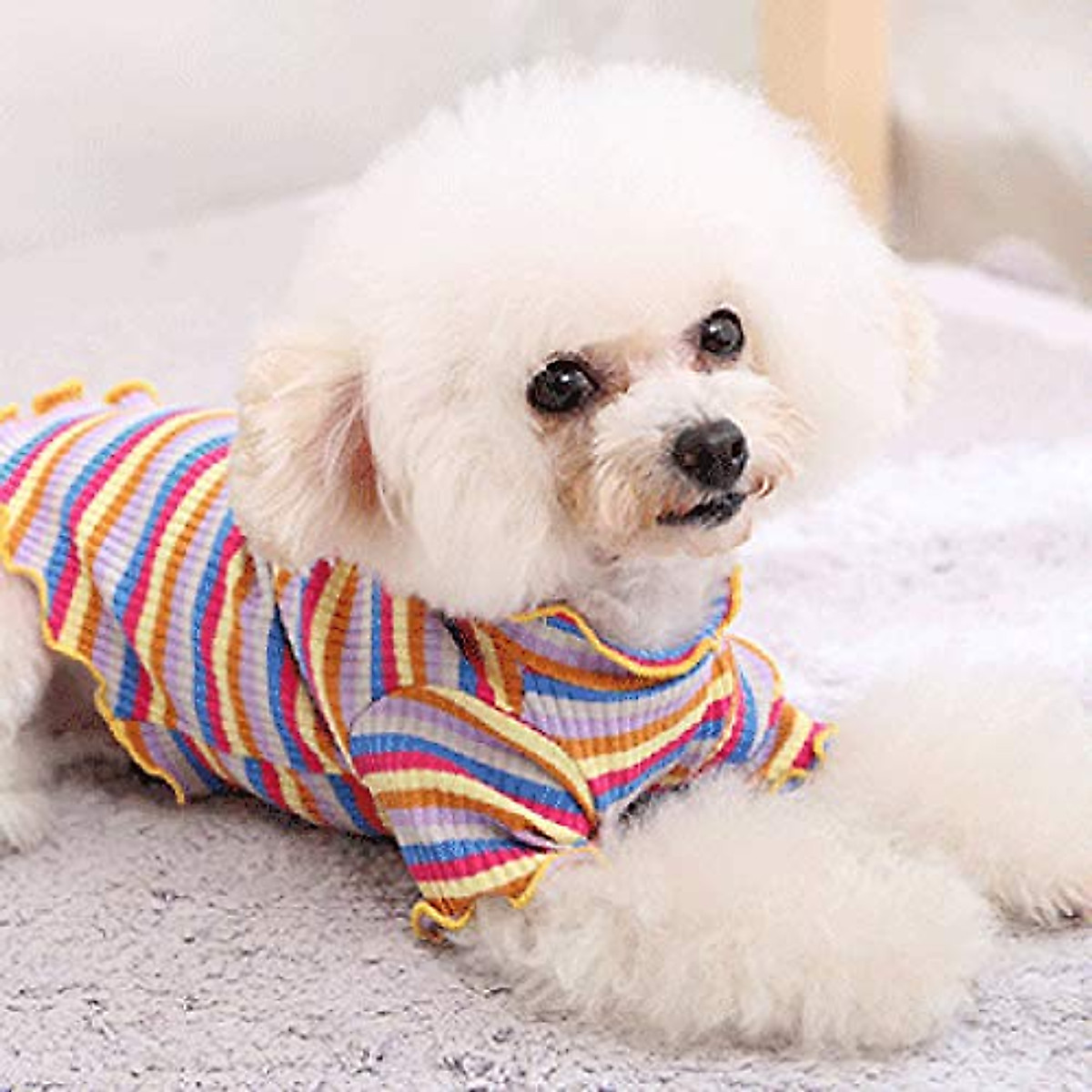 Extra Small Dog Sweater Female Rainbow Pajamas Winter Vest Dog Shirt Pet T-Shirt Cat Clothes Cute Puppy Pet Clothes