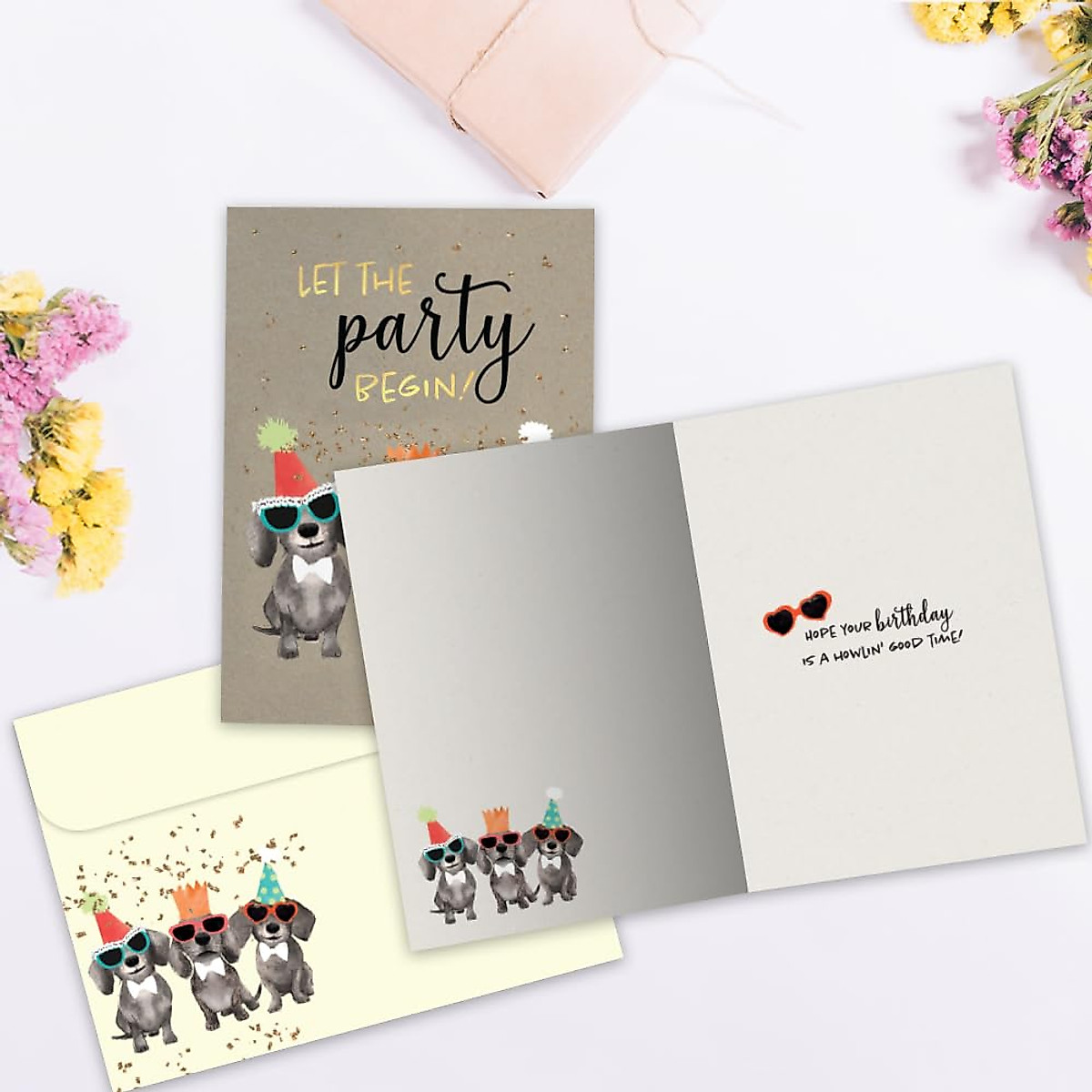 Tree-Free Greetings - Humorous Birthday Cards - Artful Designs - 1 Card + Matching Envelopes - Made in USA - 100% Recycled Paper - 5"x7" - Party Dogs (GO65230)