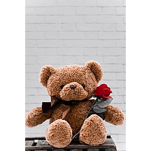 Kate Collapsible Backdrop Pop Up Backdrops Blue Portable Background for Portrait Photography, for Video Conference, for Live Stream, 5x6.5ft