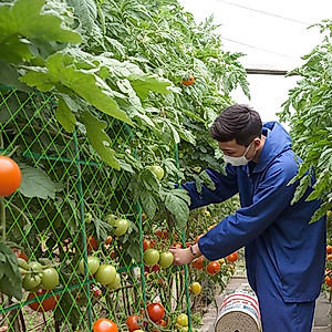 Hoyejyou 65"×48" Cucumber Trellis for Raised Bed, U-Shape Garden Trellis for Climbing Plants Outdoor, Metal Arch Vegetables Trellis, Detachable Cucumber Trellis Support for Tomato,Squash,Zucchini