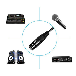 Devinal XLR to 1/8 Female Adapter, Balanced Mini-Jack(3.5mm) Female to Microphone Cable, 3.5mm Stereo TRS to XLR Female Transforming Cord Converter