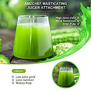Masticating Juicer Attachment for KitchenAid All Models Stand Mixers,AMZCHEF Masticating Juicer, Slow Juicer Attachment for All KitchenAid Mixers, Cold Press Juicer Parts (Iron black)