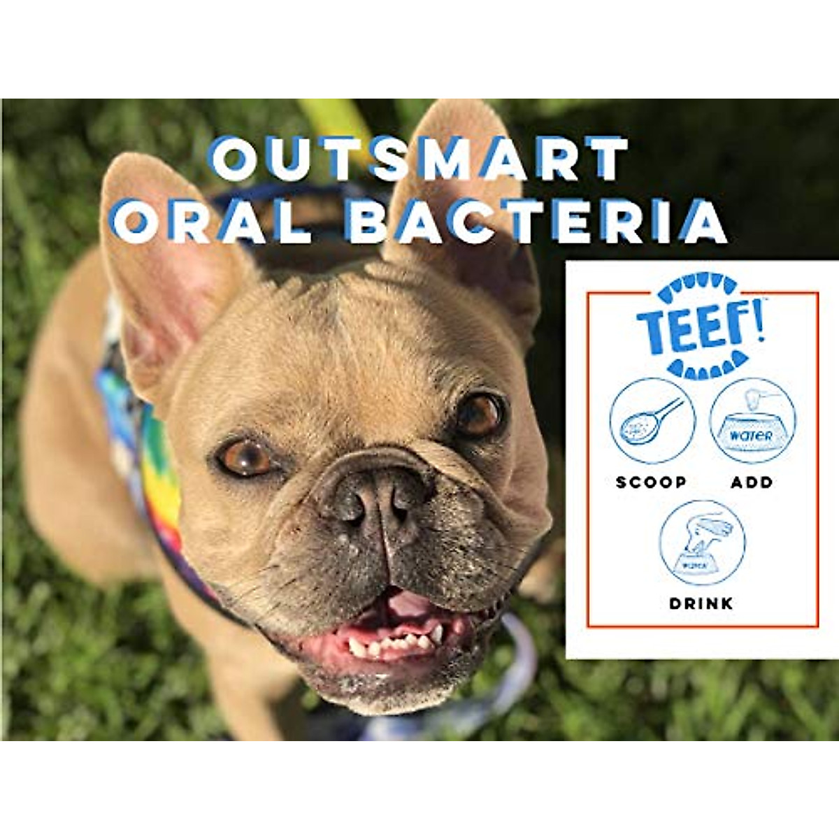 TEEF! Daily Dental Care – Natural Dog Dental Water Additive, 30 Day Supply – Award Winning Formula Fights Plaque and Tartar – No Brushing, Add to Water Bowl – Say Hello to Healthier Gums