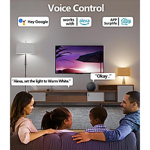 luckystyle Smart Light Bulbs, 9W A19 E26 800LM WiFi Bluetooth LED Bulbs Compatible with Alexa, Google Assistant & Home, 16 Million Colors Music Sync Color Changing Dimmable RGBWW Lights Bulb (4)