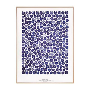 Passat 16x20 Real Five-Fingered Maidenhair Fern Shadow Box Floating Frame Insect Display Case Black Oak Wood Herbier Press Flower Frame Sticker Display Wall Photo Frame Art Glass Memory Box Green