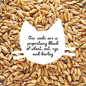 The Cat Ladies Hello Kitty Organic Cat Grass Growing kit with Organic Seed Mix, Soil and Hello Kitty Planter. Natural Hairball Control and Digestive Remedy,Cat Gifts