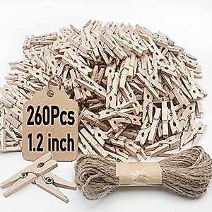 Mini Clothes Pins, 260 PCS Small Wooden Clothes Pins with Jute Twine, Clothespins, Clothes Pins for Photos Crafts DIY Project